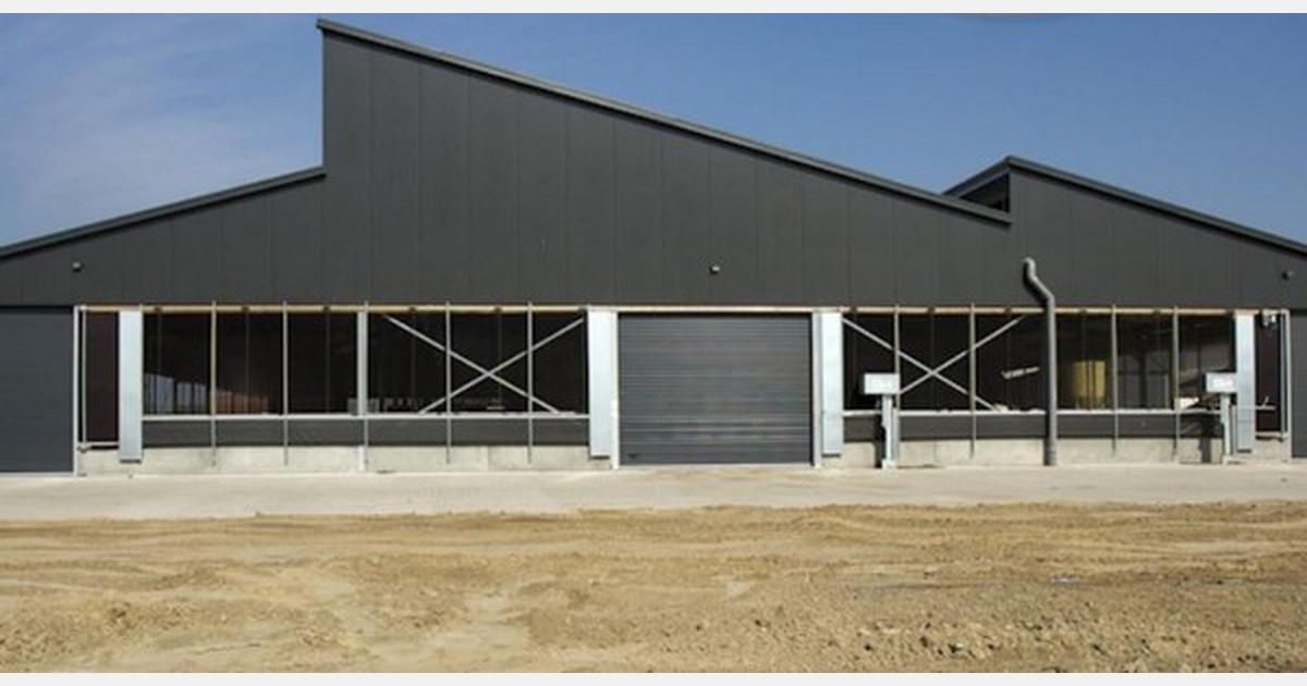 DLV Advies gaat samenwerking aan met Wijsman