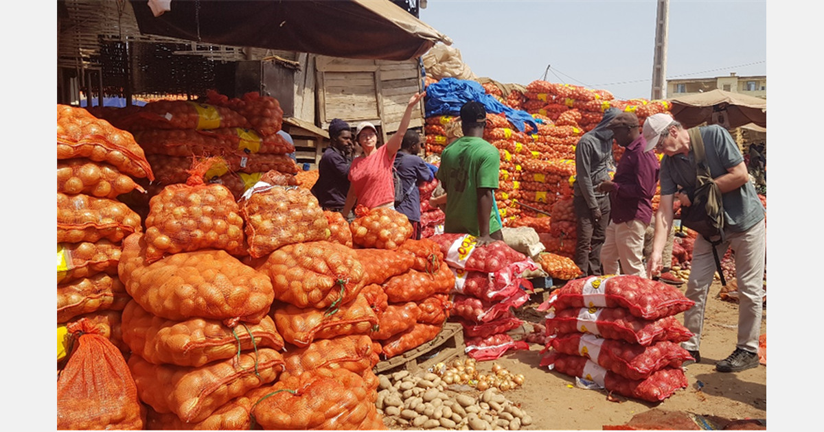 Uientelers uit Nederland en België op studiereis naar Senegal