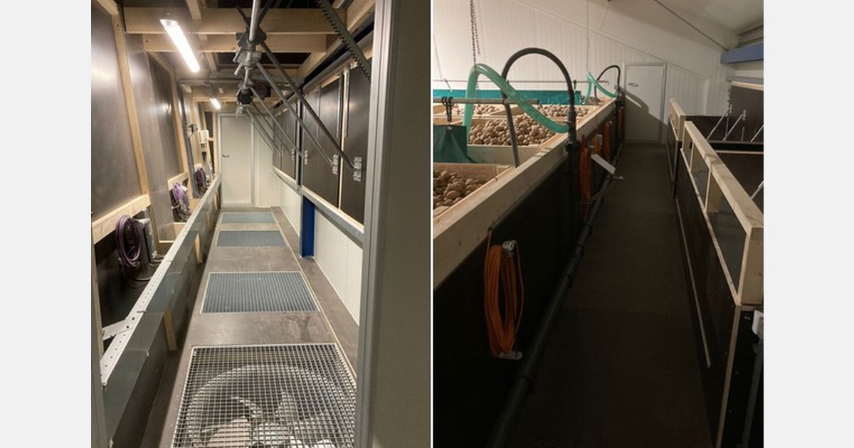 Nieuwe gecombineerde kistenbewaring voor opslag peen, aardappelen en ...